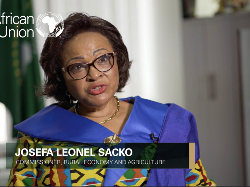 Angolana entre líderes nomeados para combater desnutrição