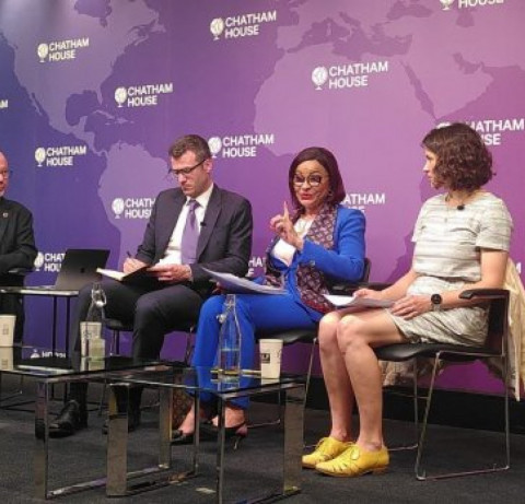 Josefa Sacko reafirma papel de África na resposta às alterações ...