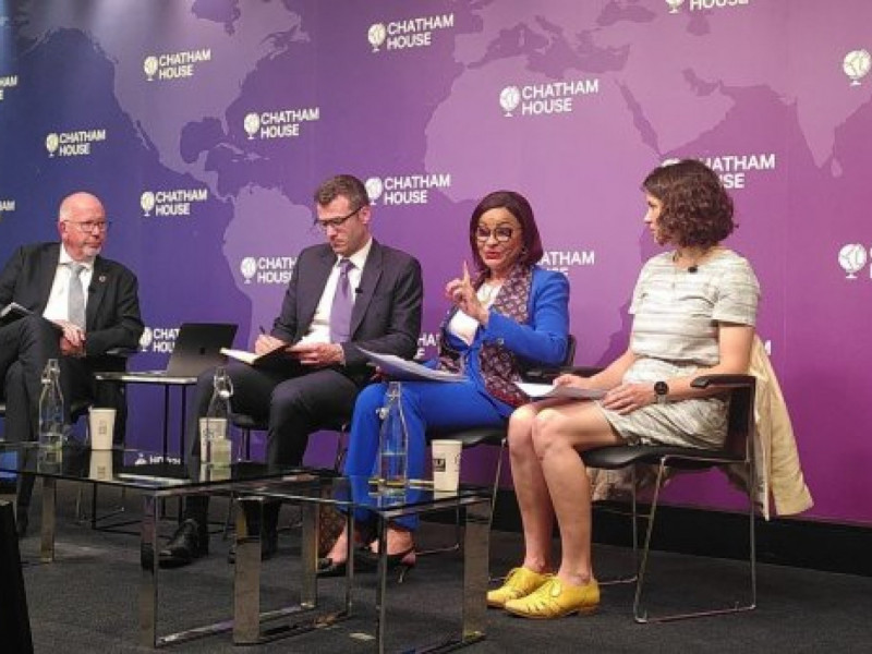 Josefa Sacko reafirma papel de África na resposta às alterações ...