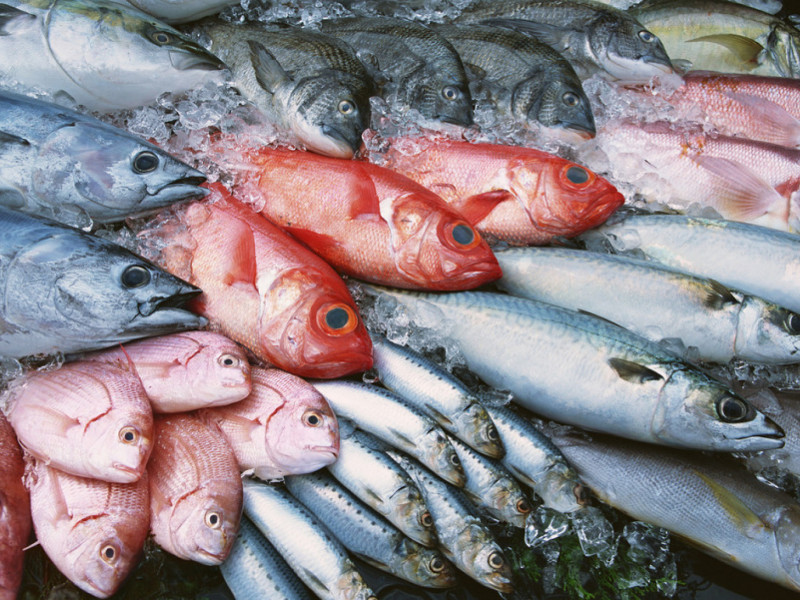 Novo complexo de processamento de pescado inaugurado no Soyo - Angola