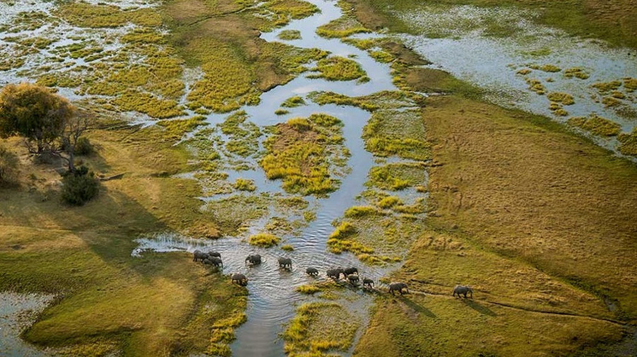 Angola reúne investidores para desenvolver o turismo em Okavango
