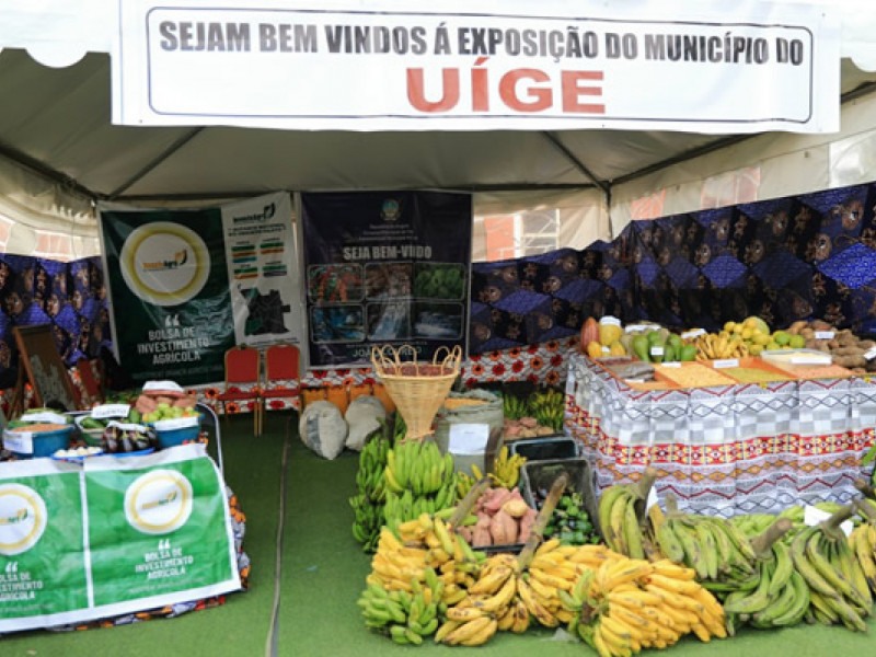 Mais de 300 expositores inscritos na Expo-Uíge/2024 - Angola