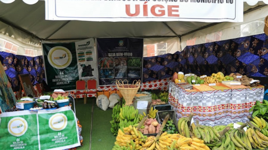 Mais de 300 expositores inscritos na Expo-Uíge/2024 - Angola