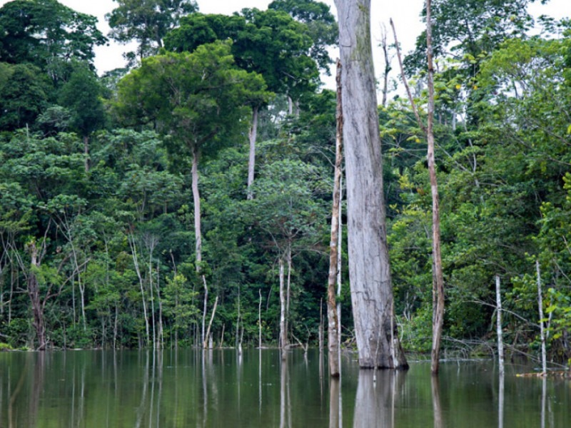 Grande Muralha Verde visa combater a desertificação e degradação dos ...