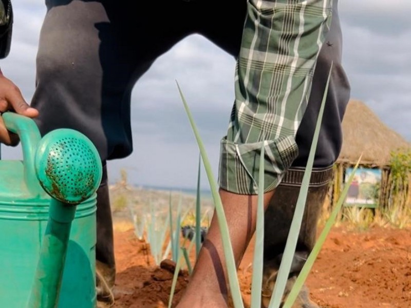 ODS - 2030 : O caminho de Angola rumo à dignidade e igualdade para todos