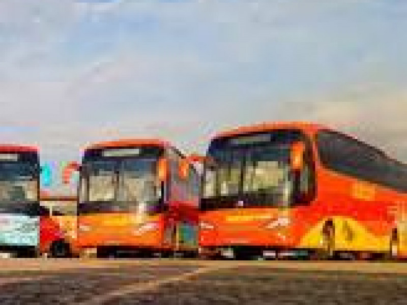 Empresa MACON conta com mais 50 autocarros - Angola