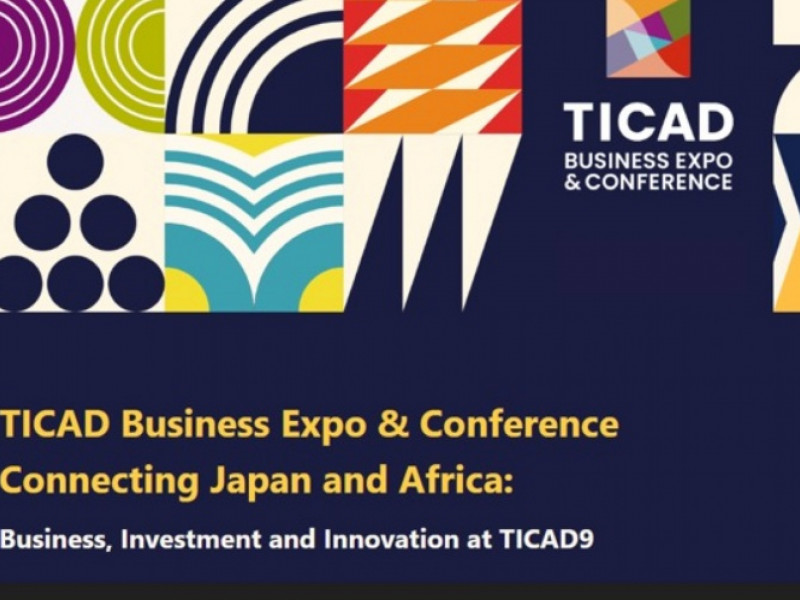 Japão expectante na presença de Angola na TICAD em Yokohama