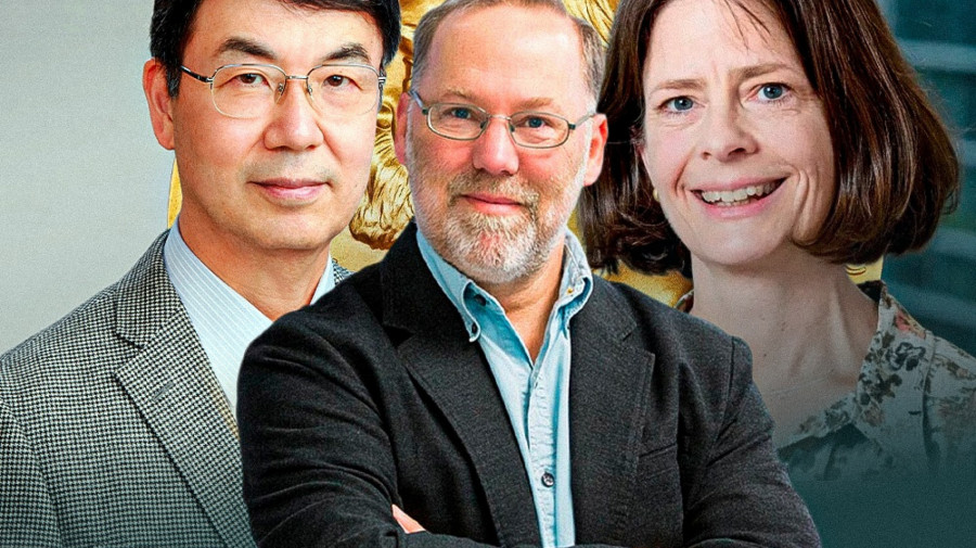 Nobel da Medicina para Mary E. Brunkow, Fred Ramsdell e S. Sakaguchi - Angola